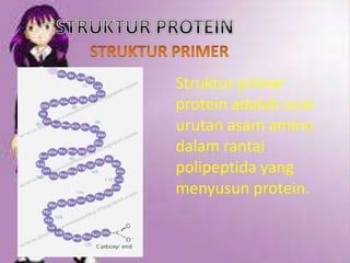 protein KIMIA | PPTX