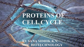 Proteins Of Cell Cycle.pptx