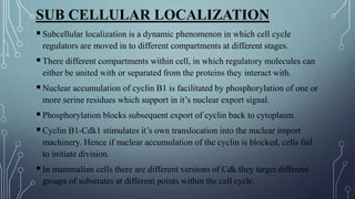 Proteins Of Cell Cycle.pptx