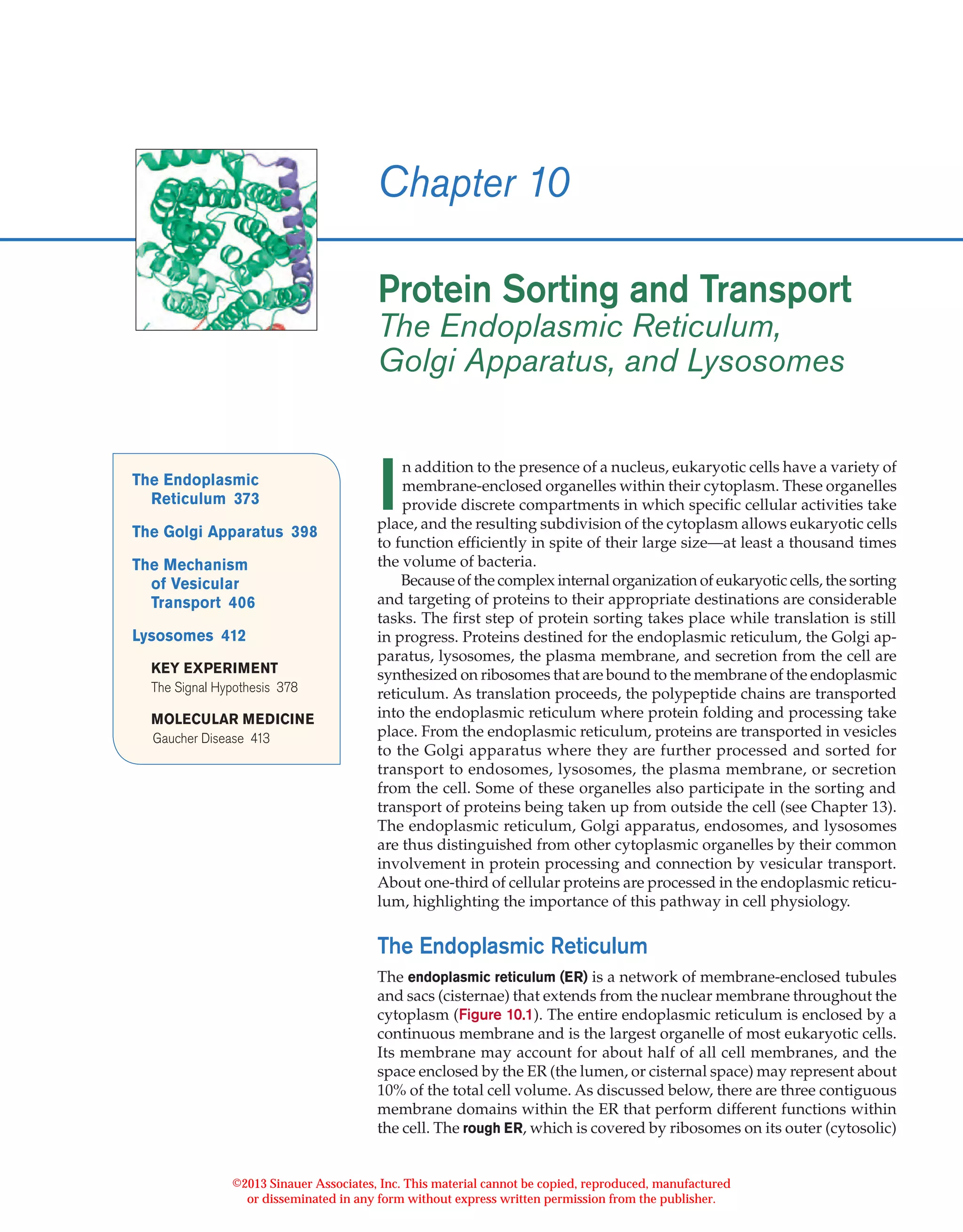 Protein sorting and transport | PDF
