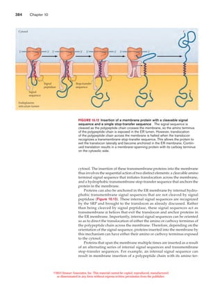 Protein sorting and transport | PDF