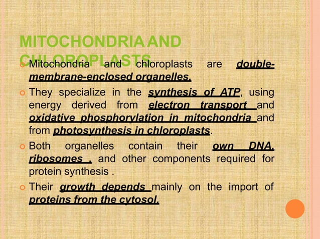 Protein sorting | PPTX | Biological Sciences | Science