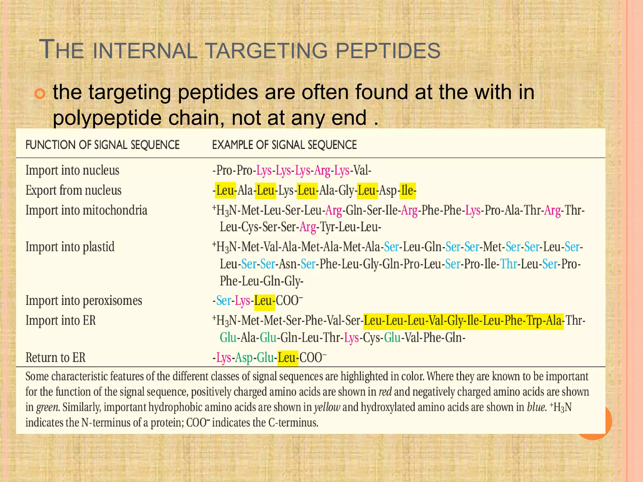 Protein sorting and targeting | PPTX