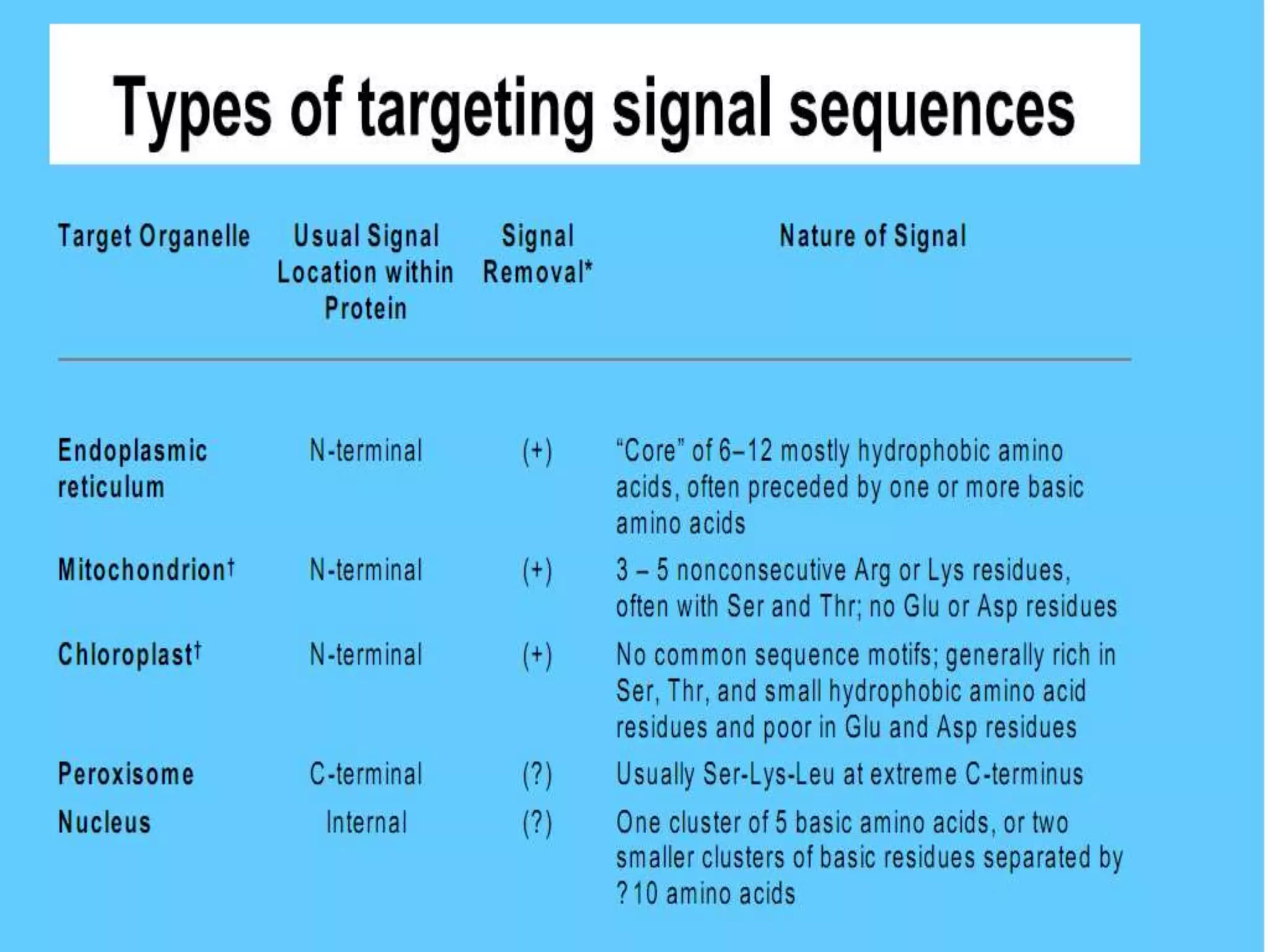 Protein sorting and targeting | PPTX
