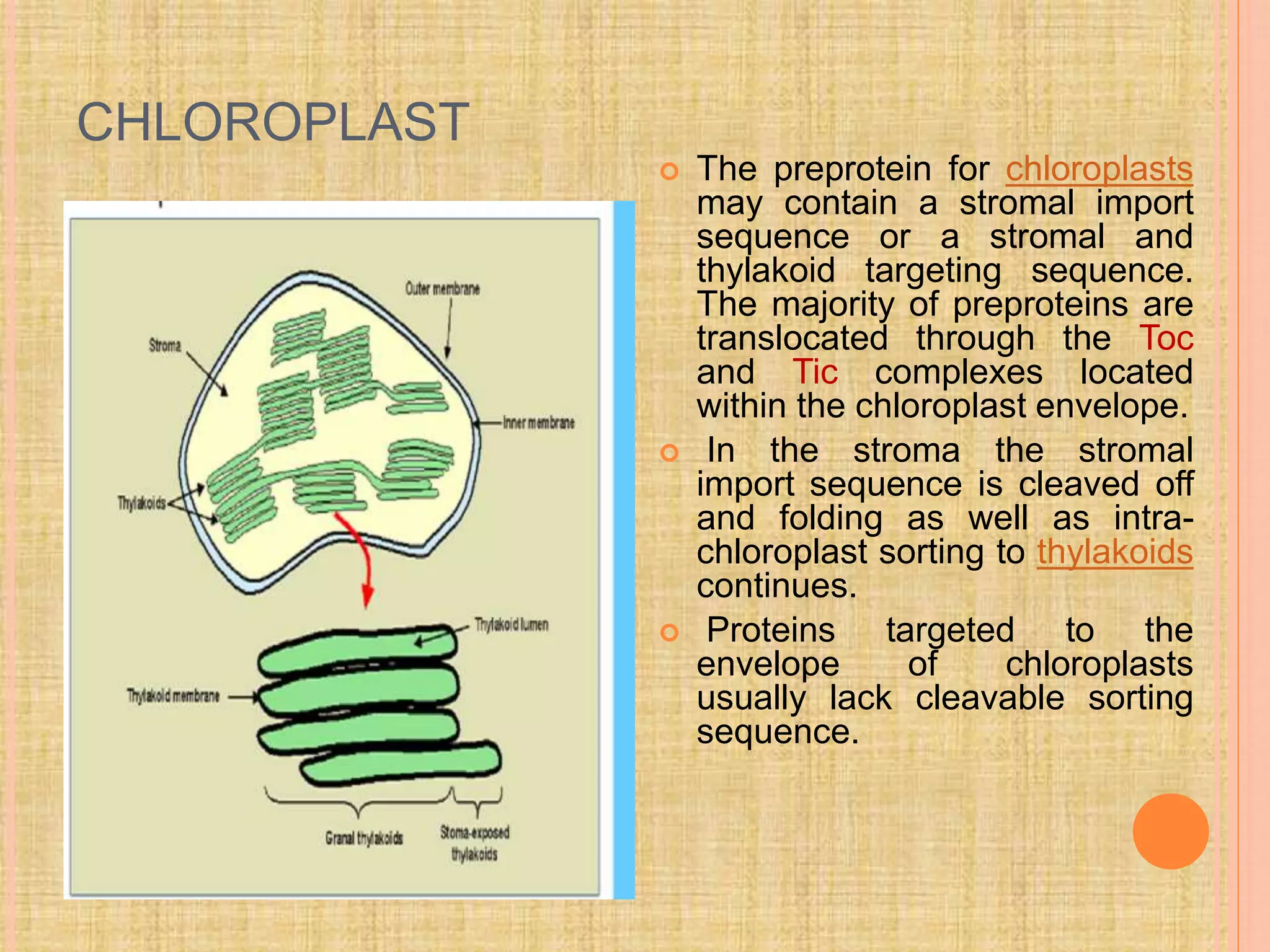 Protein sorting and targeting | PPTX