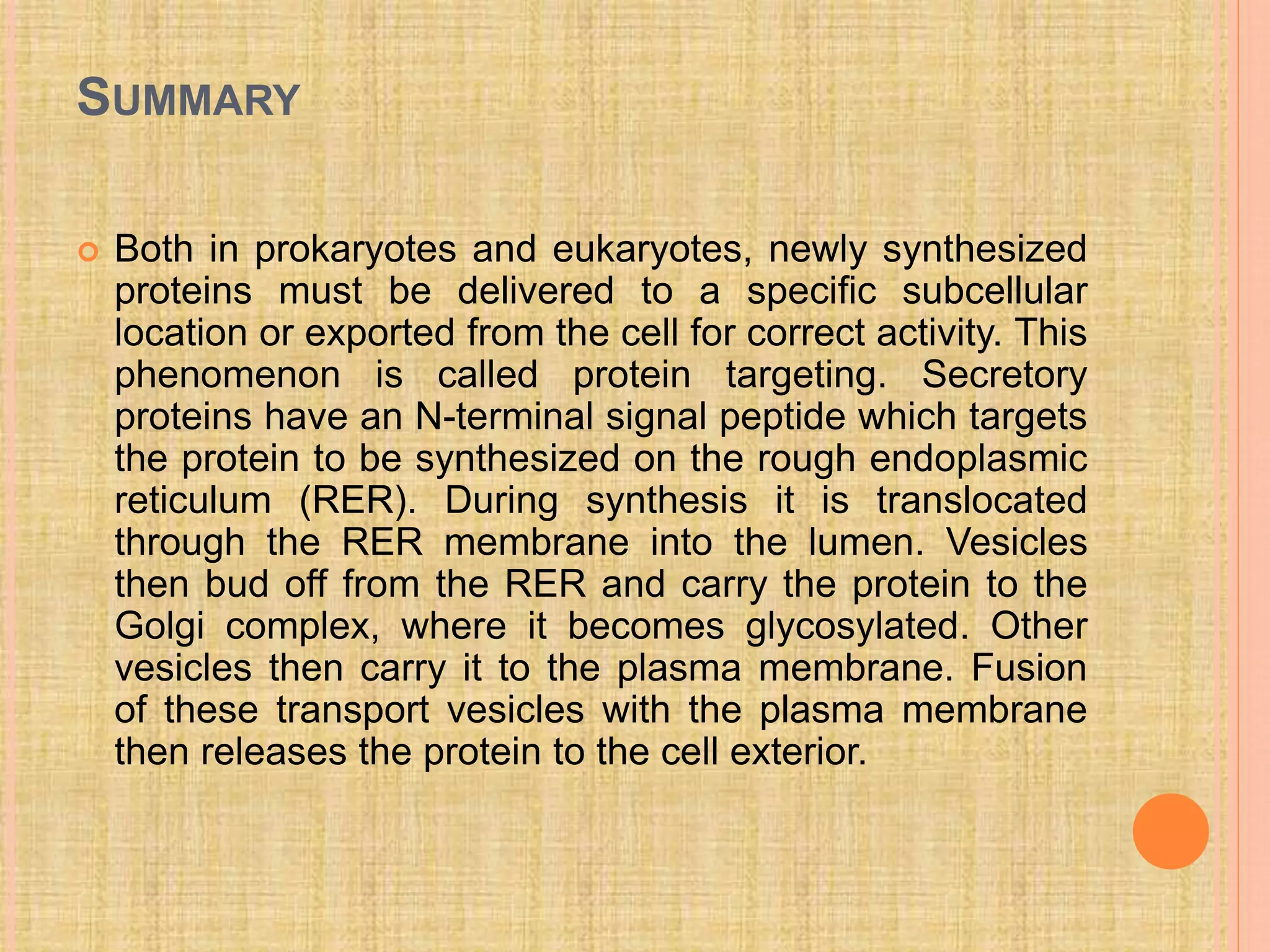 Protein sorting and targeting | PPTX