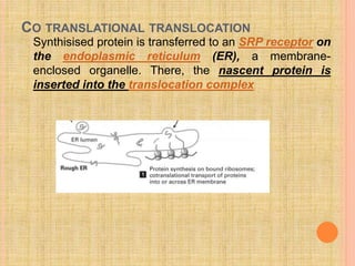 Protein sorting and targeting | PPTX
