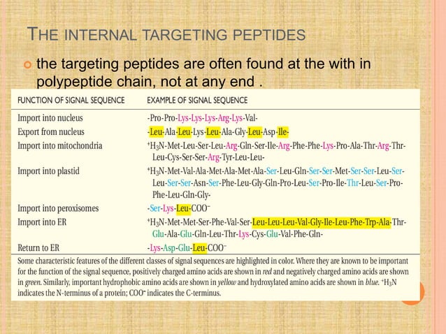 Protein sorting and targeting | PPTX