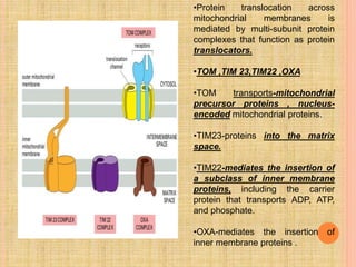 Protein sorting and targeting | PPTX