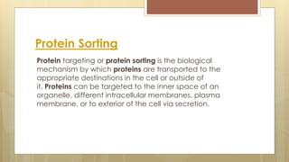 Protein sorting in golgi bodies | PPTX