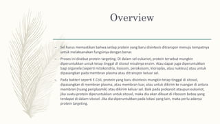Protein Sorting | PPTX