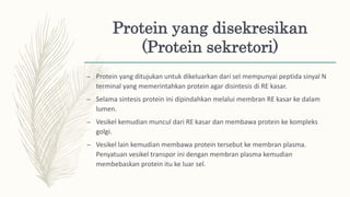 Protein Sorting | PPTX