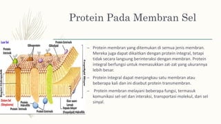 Protein Sorting | PPTX