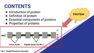 Proteins part 1 | PPT