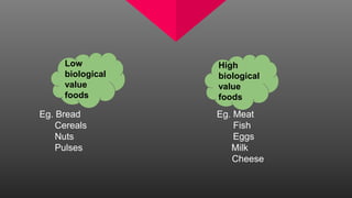 Proteins part 2 | PPT