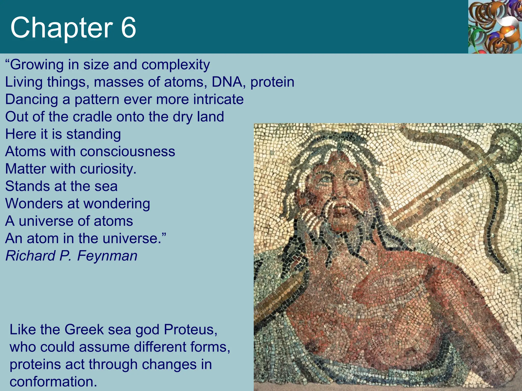 Proteins Part 2, Proteins secondary, tertiary, and quaternary structure.ppt