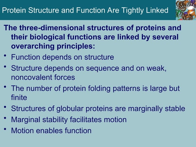 Proteins Part 2, Proteins secondary, tertiary, and quaternary structure.ppt