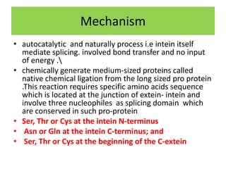 Protein splicing | PPT