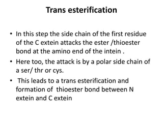 Protein splicing | PPT