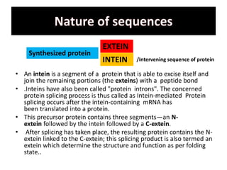 Protein splicing | PPT