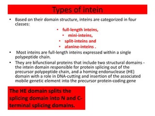 Protein splicing | PPT