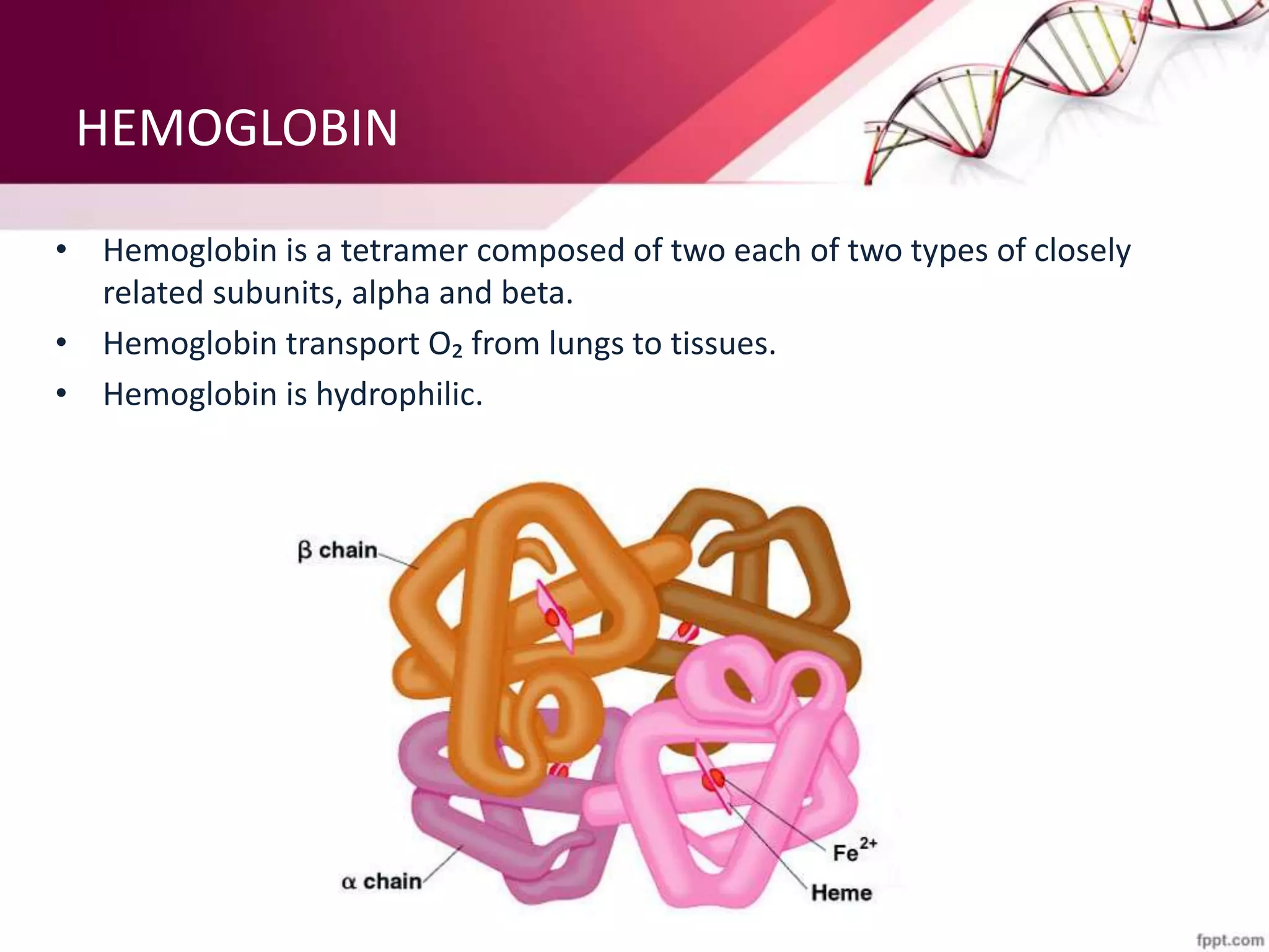 Proteins | PPTX