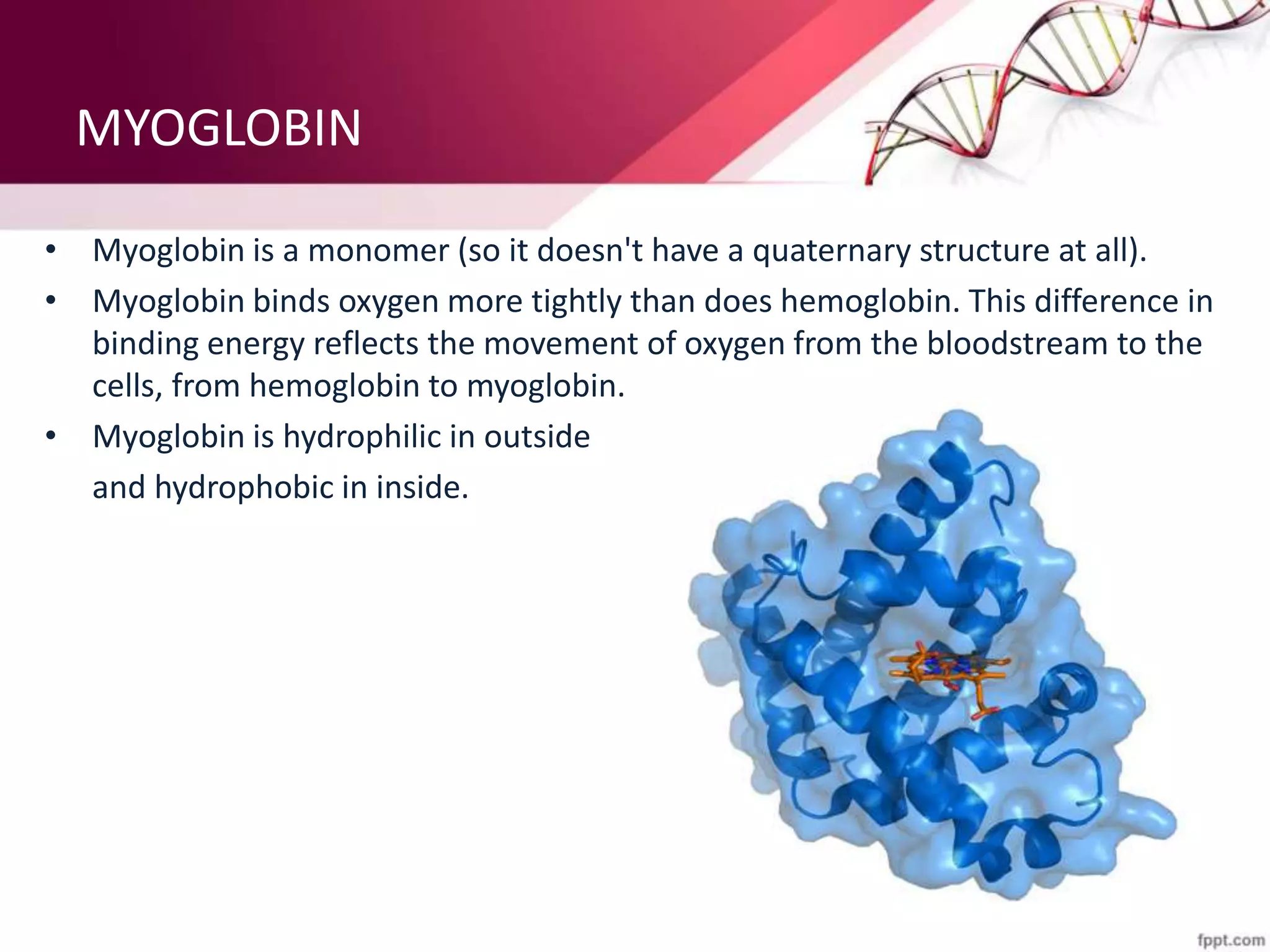 Proteins | PPTX