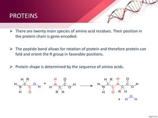 Proteins | PPTX
