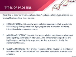 Proteins ppt | PDF