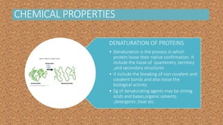PROTEINS | PPTX