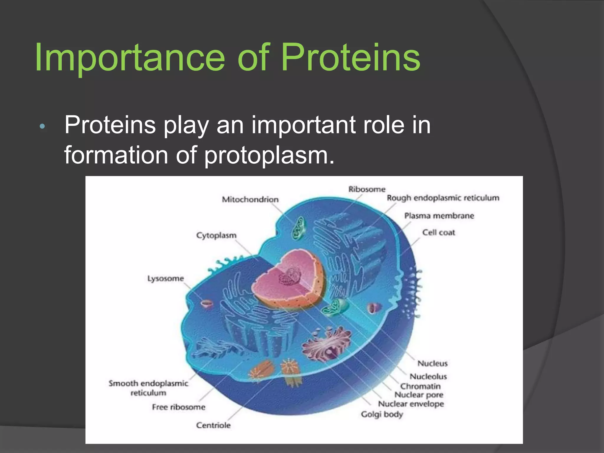 Proteins PPT final (1).pptx