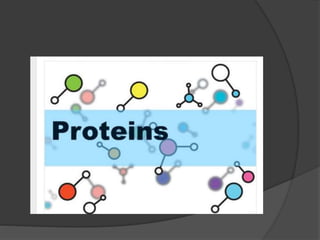 Proteins PPT final (1).pptx