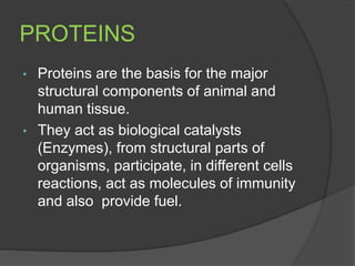 Proteins PPT final (1).pptx