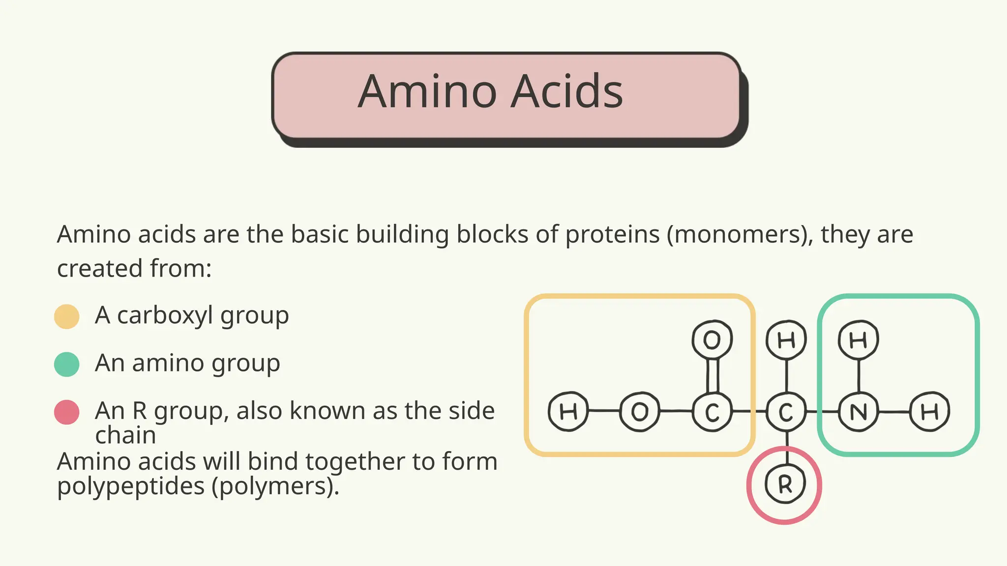 Proteins Presentation in Cream and Pink Simple Style.pptx