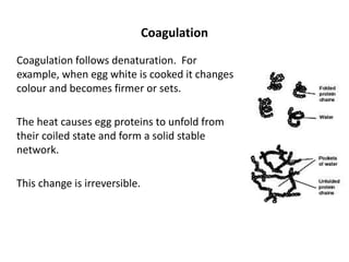 Proteins properties | PPTX