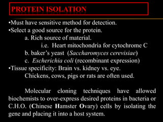 Proteins purification | PPT