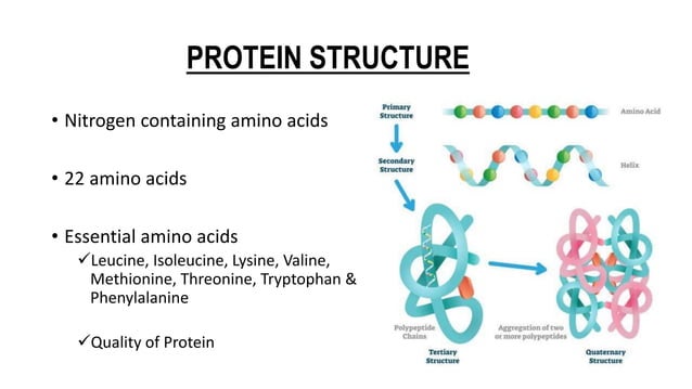 Proteins and nutrition a chapter of PSM.pptx