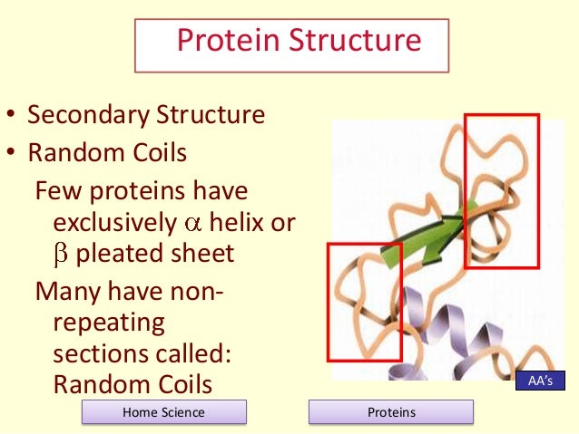 Proteins