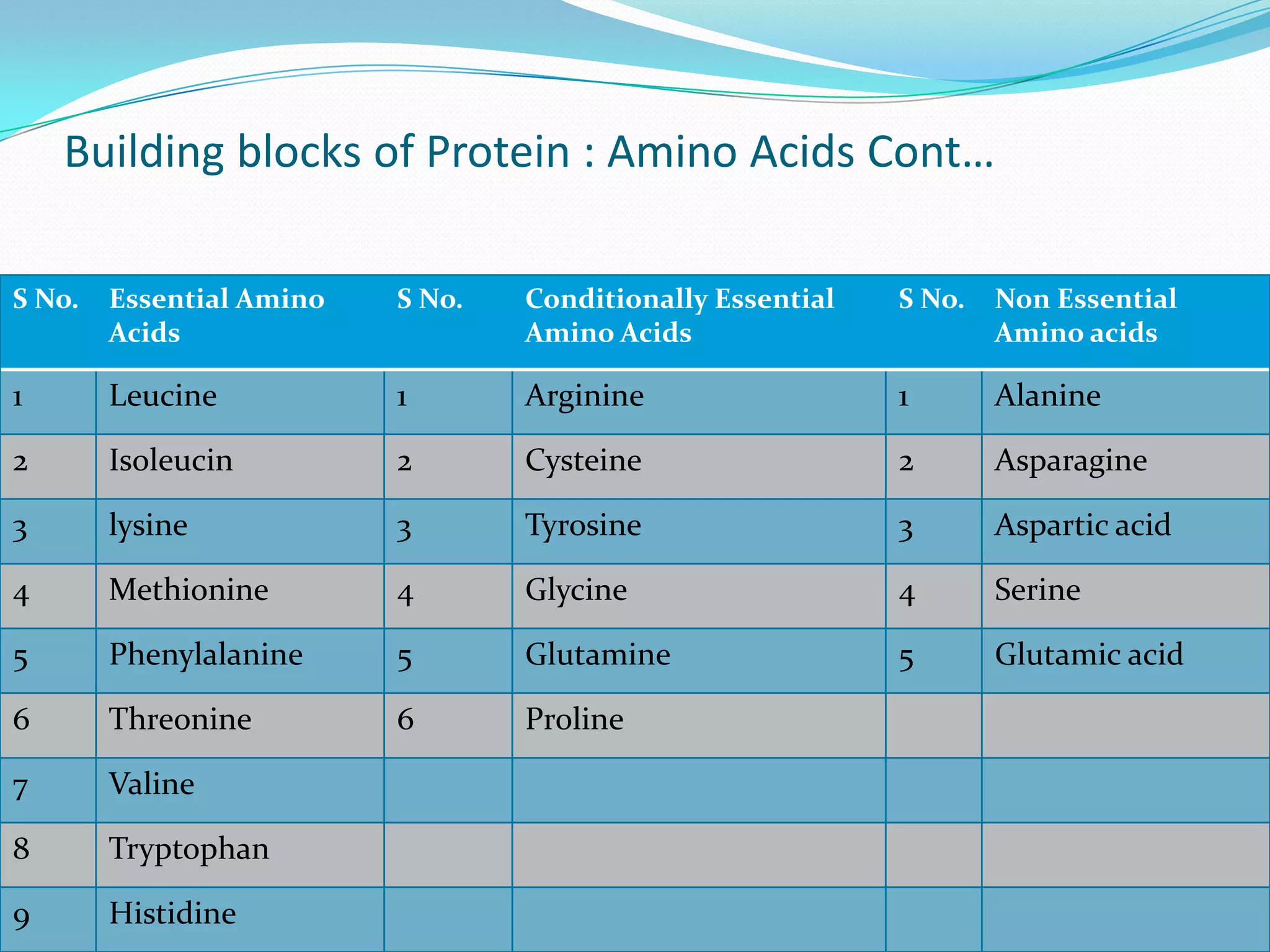 Proteins simplified | PPTX