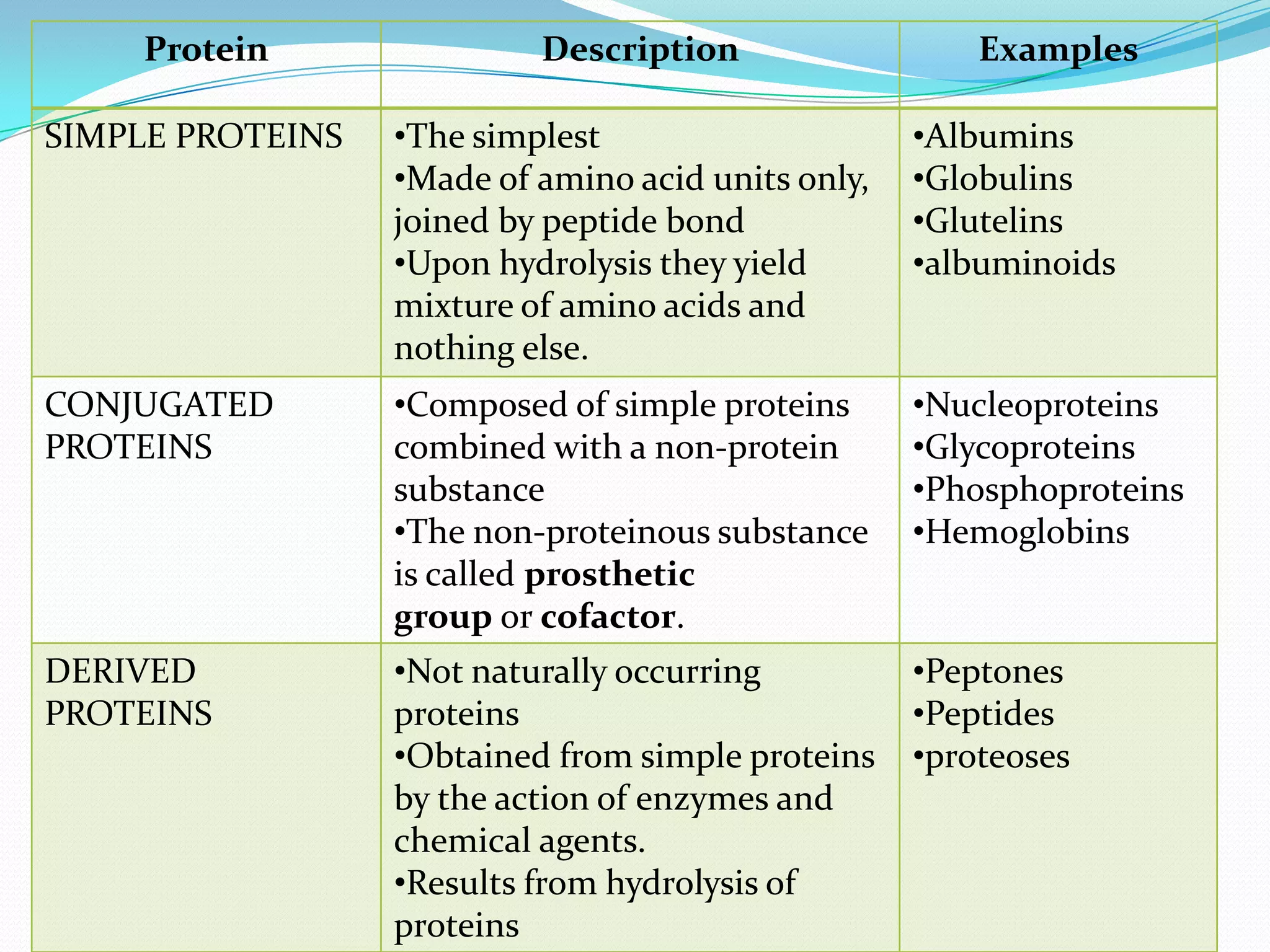 Proteins simplified | PPTX