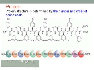 Proteins Slides | PPTX