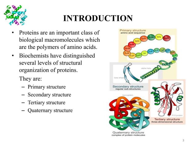 Proteins structure and role in gene expression | PPT