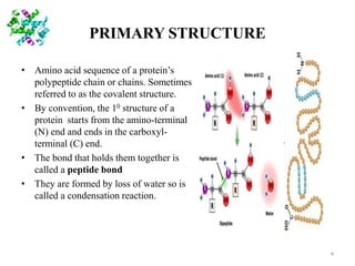 Proteins structure and role in gene expression | PPTX