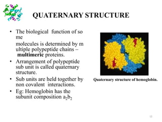 Proteins structure and role in gene expression | PPTX
