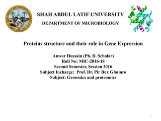 Proteins structure and role in gene expression | PPT