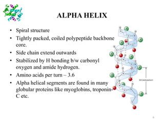 Proteins structure and role in gene expression | PPT