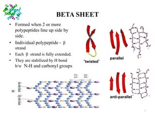Proteins structure and role in gene expression | PPT