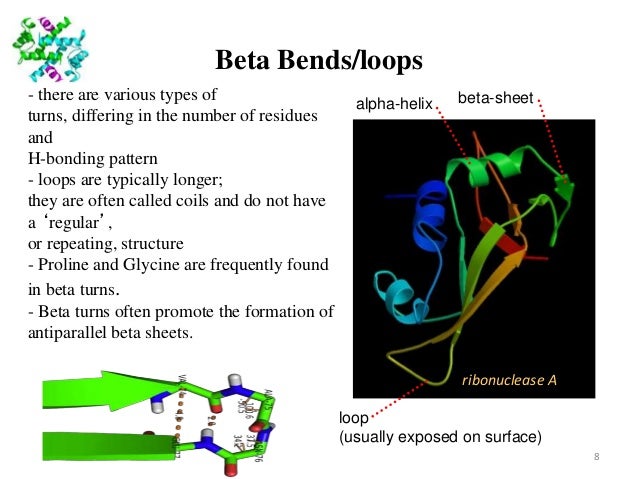 Proteins structure and role in gene expression