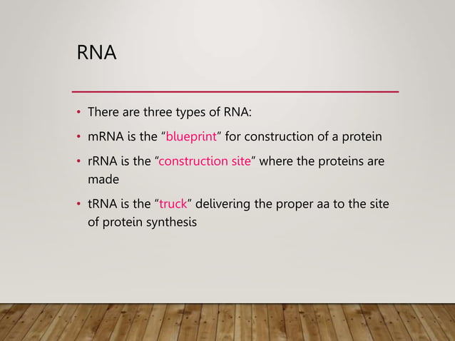 Proteins synthesis.ppt