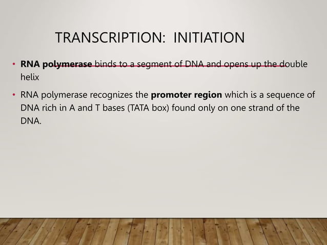 Proteins synthesis.ppt